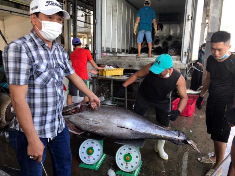 Tuna injection Machine | Food & Fish injection machine | BNT Machinery